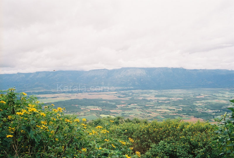 Thekkady - Plantation town, Hill Station , & Wildlife Centre