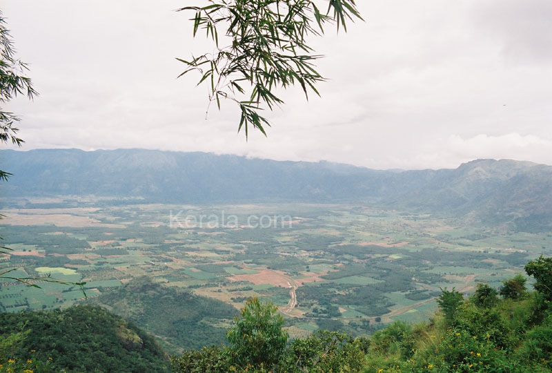 Thekkady - Plantation town, Hill Station , & Wildlife Centre