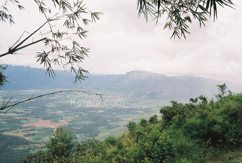 Thekkady - Plantation town, Hill Station , & Wildlife Centre