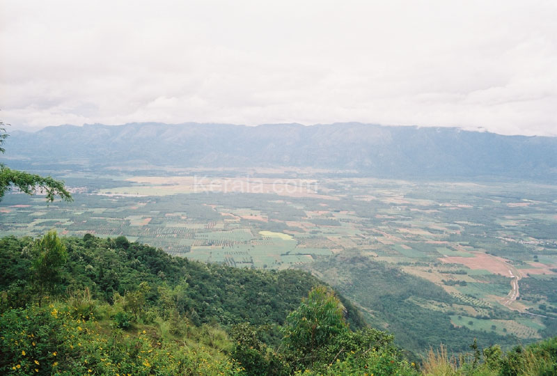 Thekkady - Plantation town, Hill Station , & Wildlife Centre