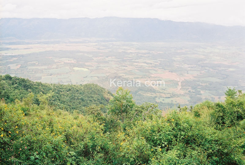 Thekkady - Plantation town, Hill Station , & Wildlife Centre