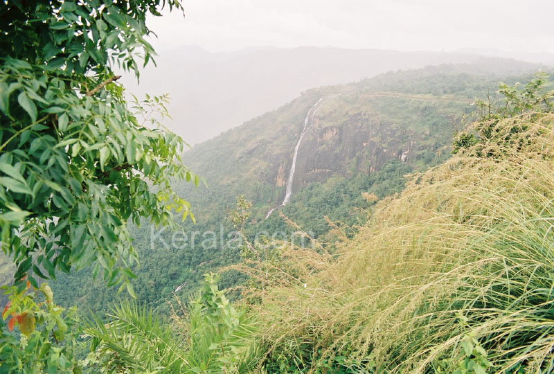 Thekkady - Plantation town, Hill Station , & Wildlife Centre