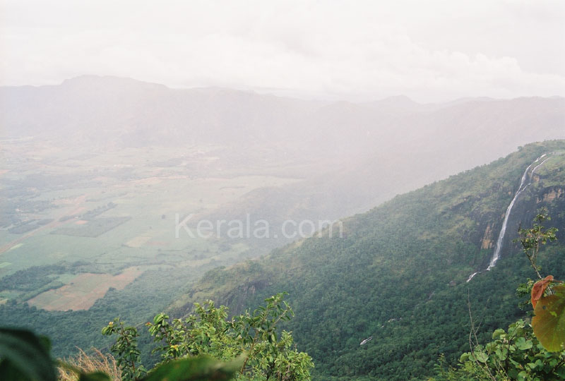 Thekkady - Plantation town, Hill Station , & Wildlife Centre