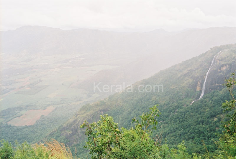 Thekkady - Plantation town, Hill Station , & Wildlife Centre